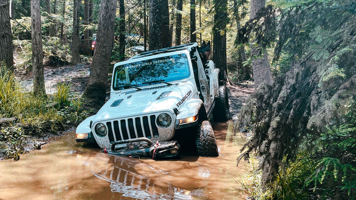 Ultimate Kinetic Recovery Ropes Guide | Miolle